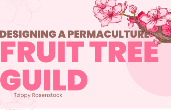 Tzipporah R. | Designing a Permaculture Fruit Tree Guild – Acera School
